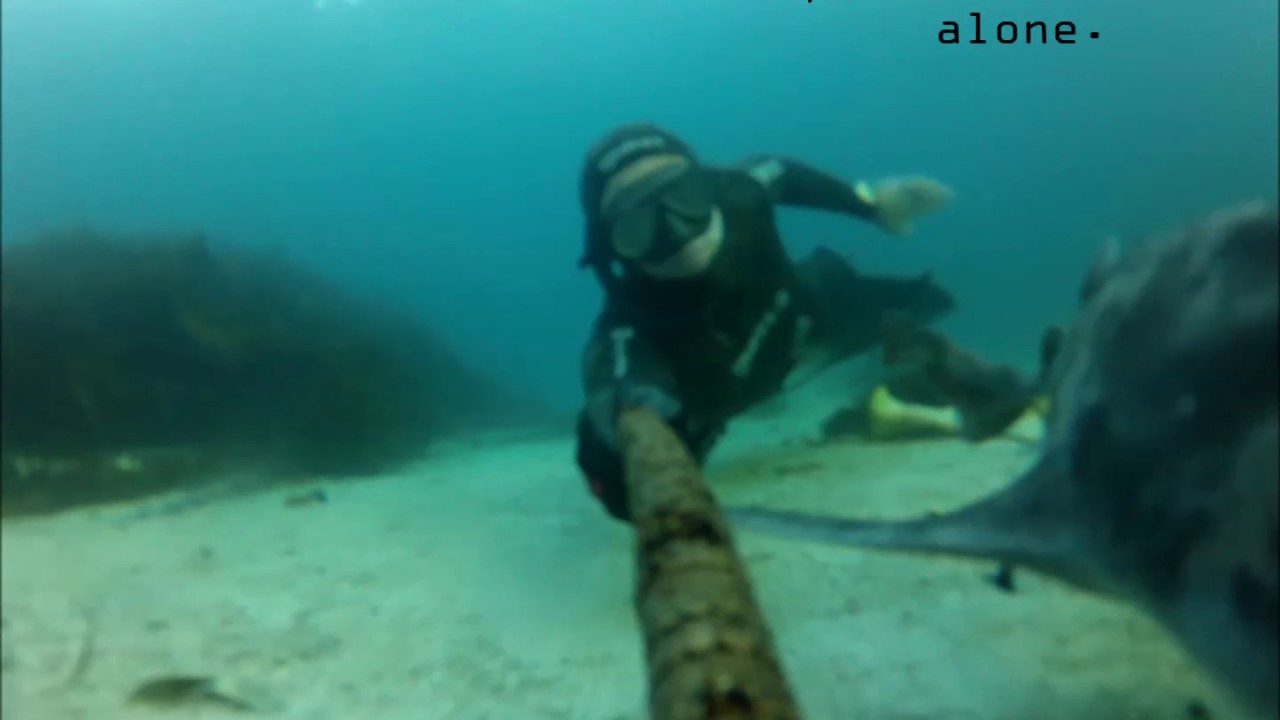 how to pick up sharks - YouTube