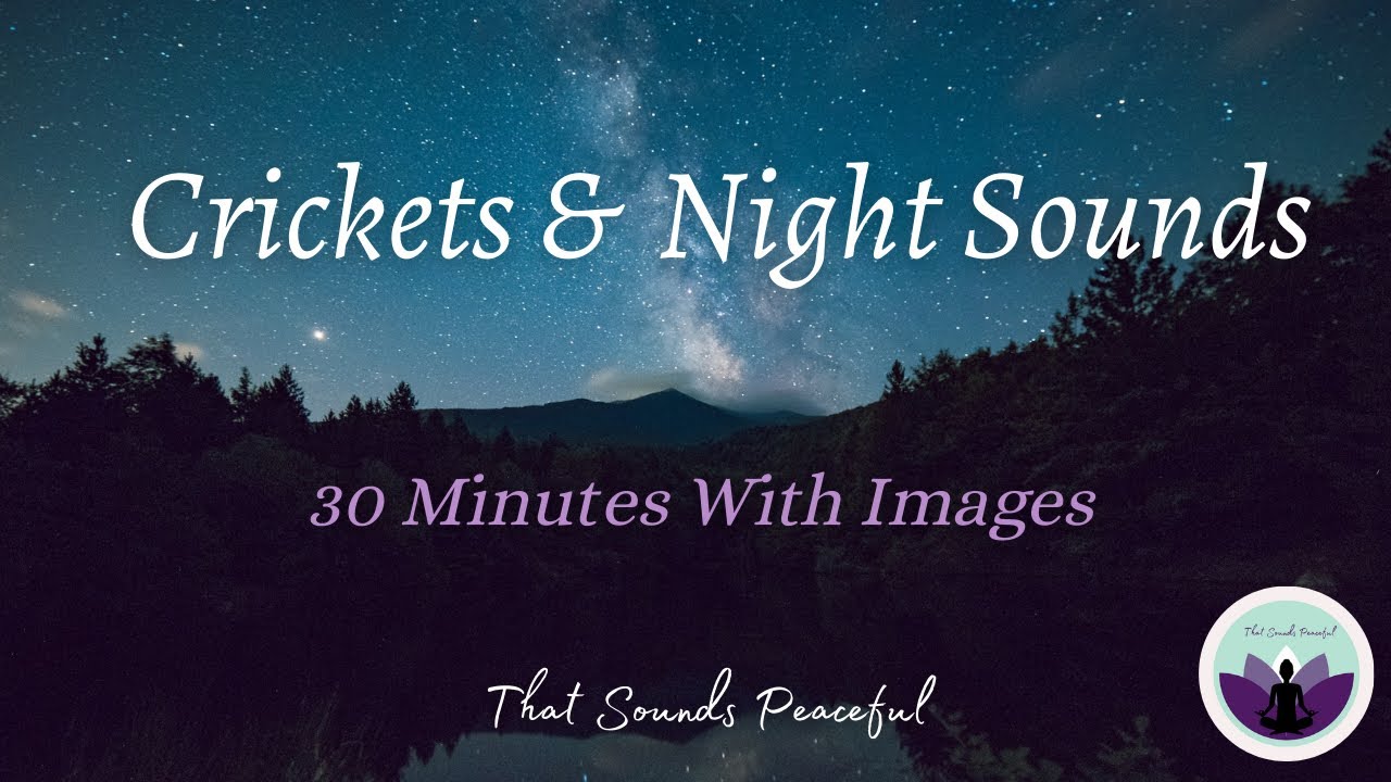 Crickets and Night Sounds | 30 Minutes | Soothing and Relaxing Sounds ...