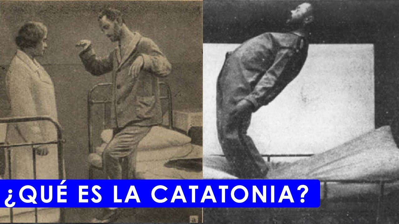 ¿Qué es CATATONIA en psicología? - YouTube