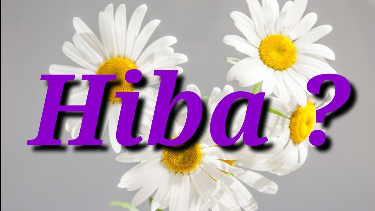 Hiba Name Status | Hiba Name Meaning | Hiba Name WhatsApp Status ...