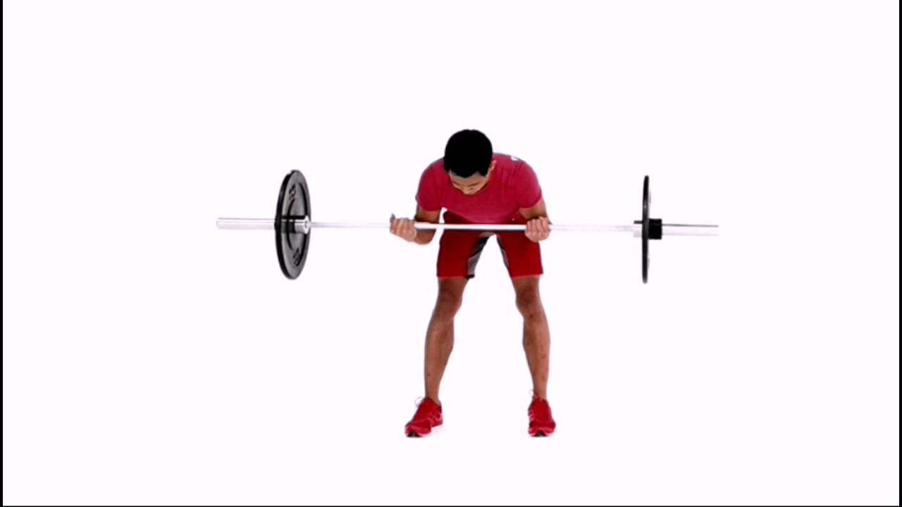 Forward Bend Biceps Curl Exercise - YouTube