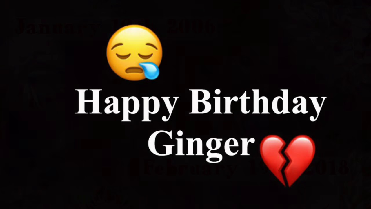 HAPPY BIRTHDAY GINGER! - YouTube