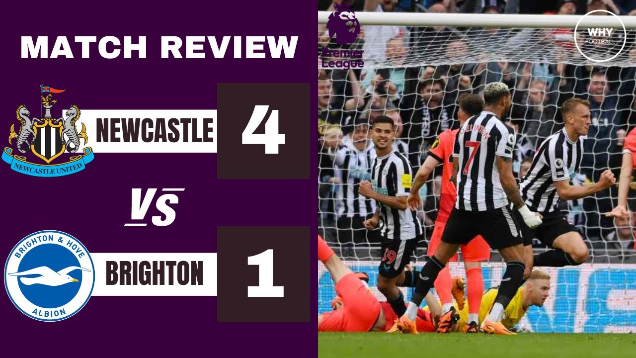 NEWCASTLE 4-1 BRIGHTON REVIEW | Newcastle UCL Bound!! | Premier League ...