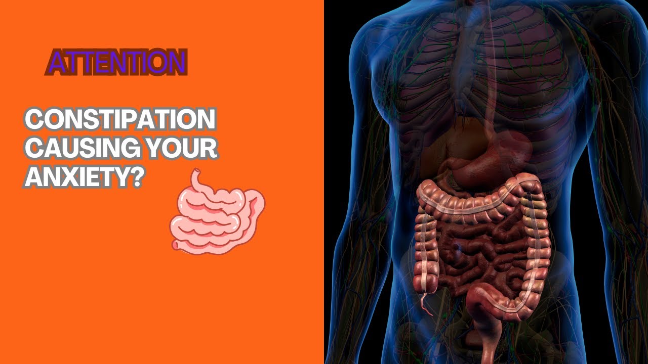 Constipation Causing Your Anxiety 2 - YouTube