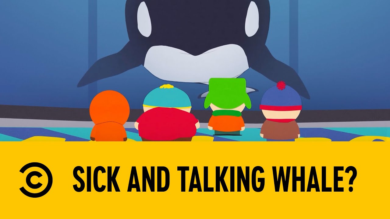 Sick And Talking Whale? | South Park | Comedy Central Africa - YouTube