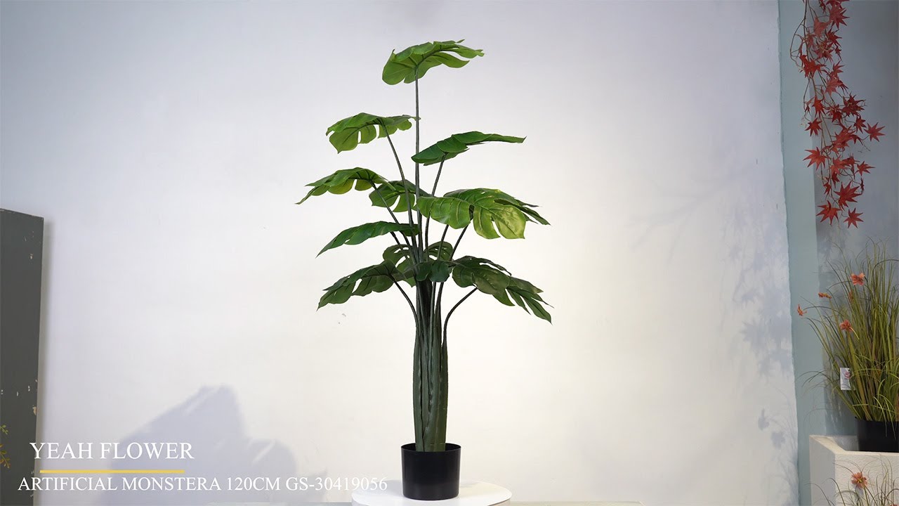 Artificial trees Monstera 120cm GS-30419056 - YouTube