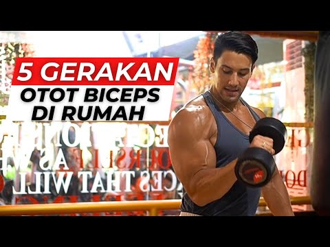 5 GERAKAN OTOT BICEPS DI RUMAH