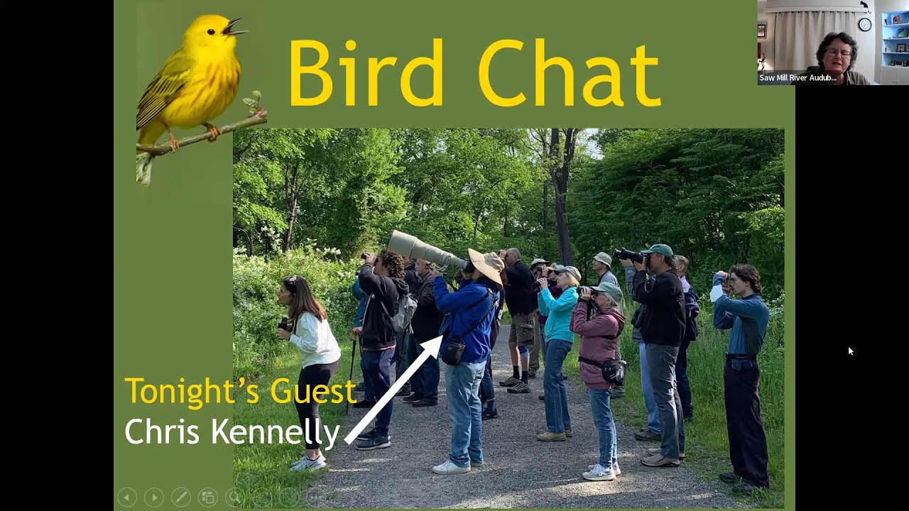 Bird Chat: Chris Kennelly: Learning Bird Photography: September 27 2022 ...