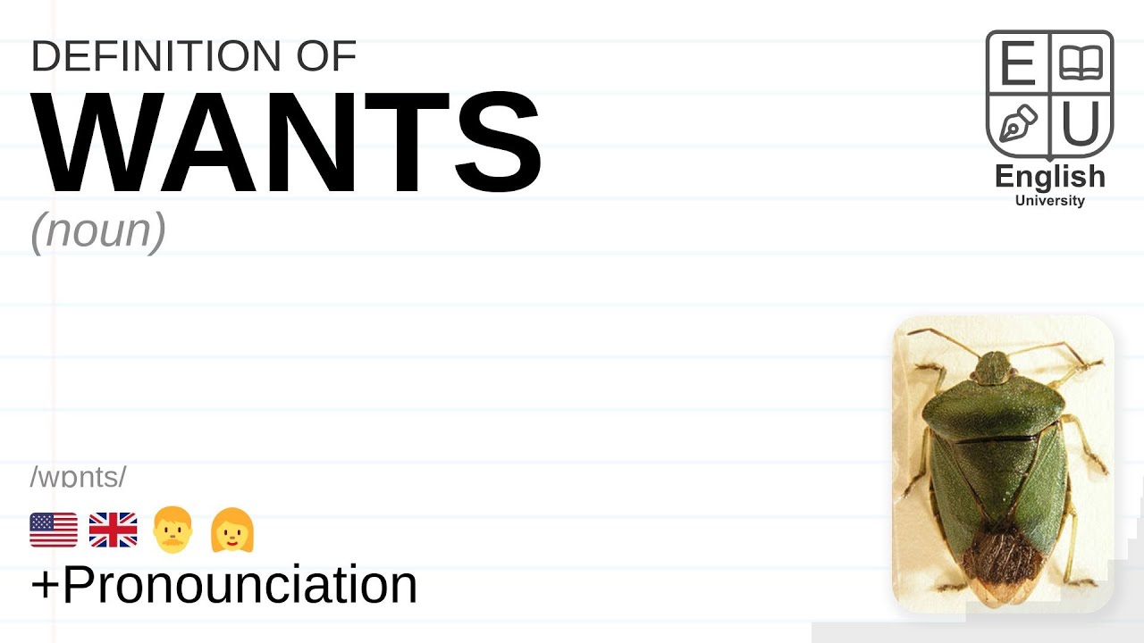 WANTS meaning, definition & pronunciation | What is WANTS? | How to say ...