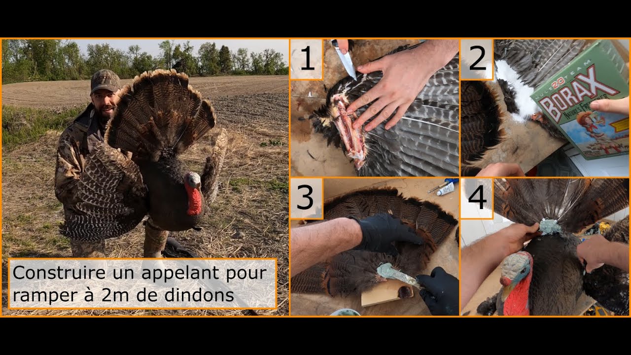 Comment faire son appelant pour ramper les dindons - DIY turkey reaper ...