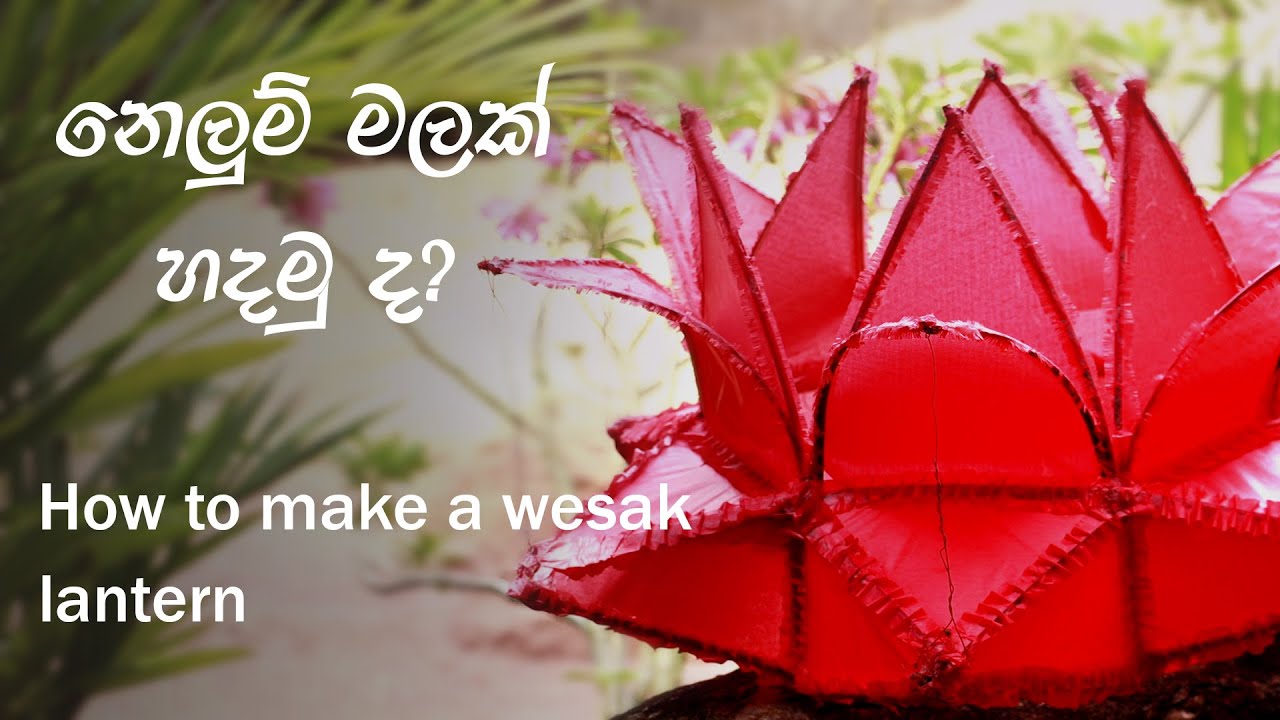 නෙලුම් මලක් හදමු ද? | How to make a wesak lantern | Shall we make a ...