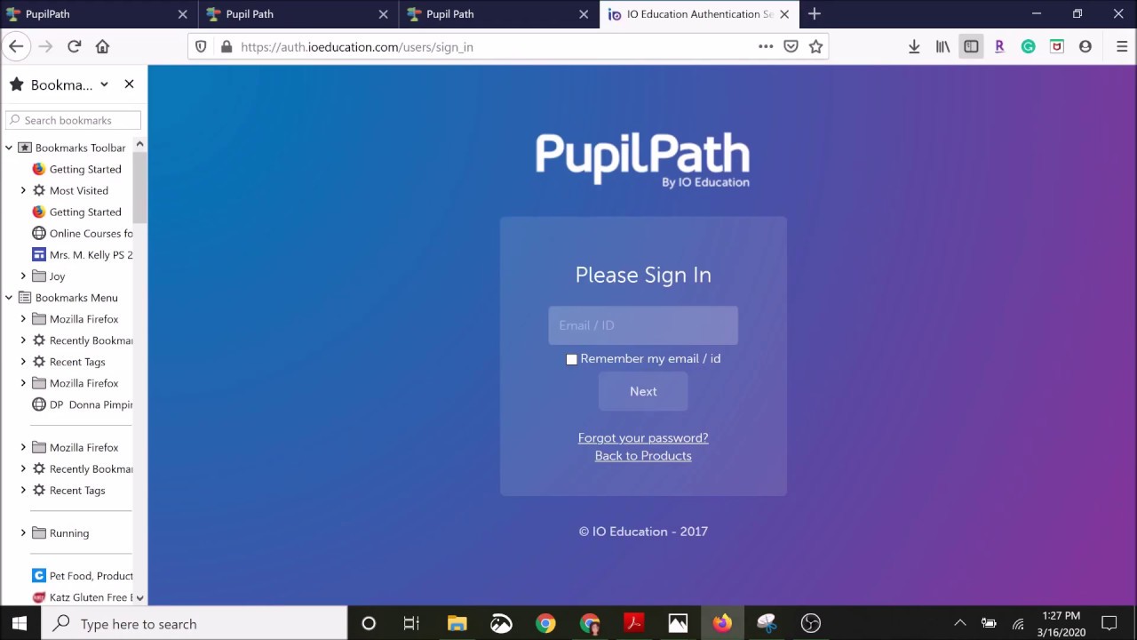 Pupil Path PS 207 - YouTube