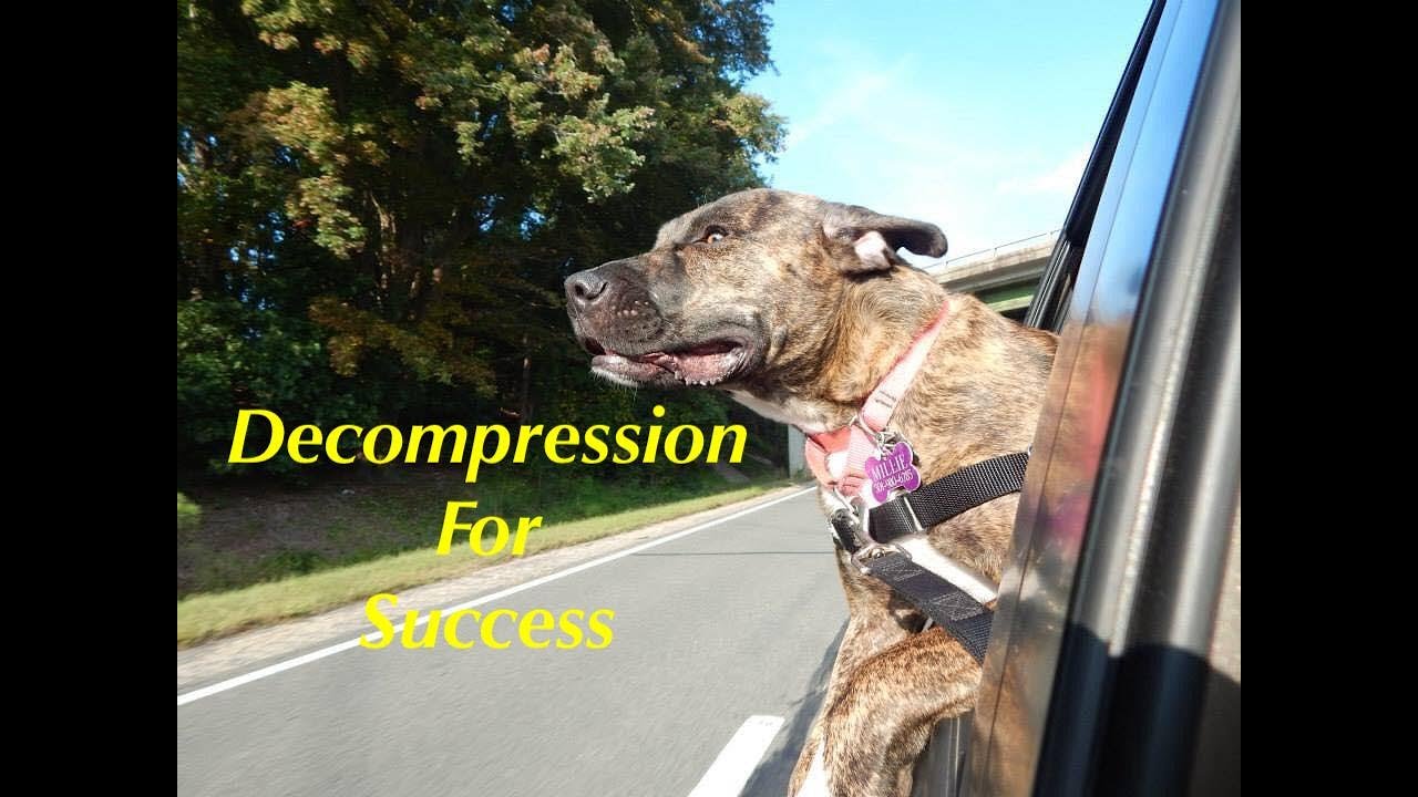 Decompression: The Key to Adoption Success - YouTube