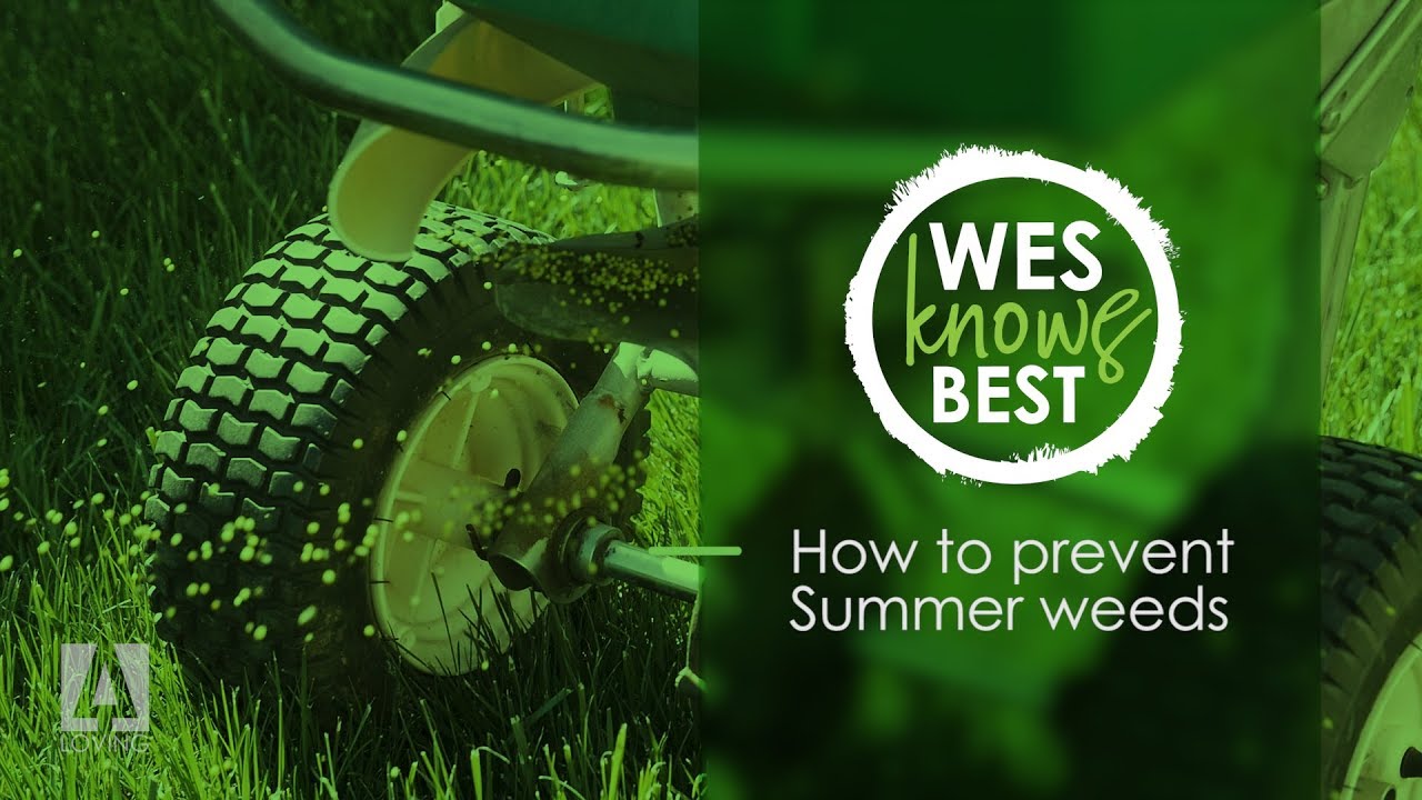 Wes Knows Best - Episode 1 - Summer Weed Prevention - YouTube
