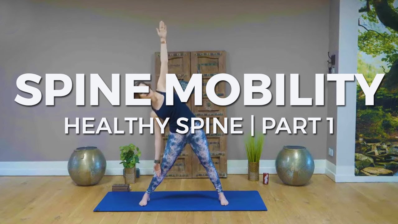 SPINE MOBILITY | Healthy Spine part 1 | Home Workouts for Seniors ...