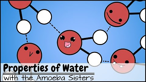 Amoeba sisters :: AP BIOLOGY PLAYLIST :D - YouTube