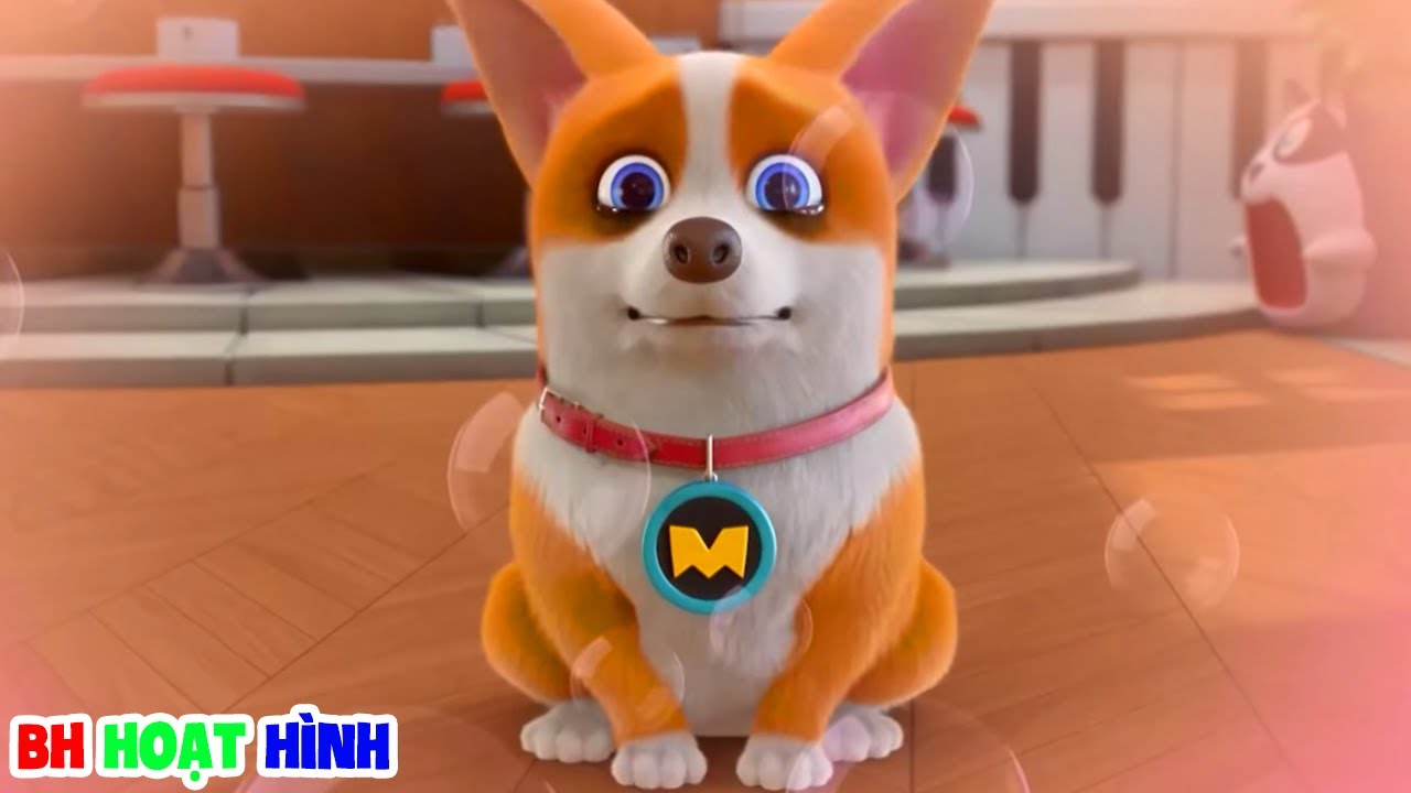 Chú Chó Moco - Moco Cảm Động Rơi Nước Mắt - Phim Hoạt Hình Vui Nhộn Hay ...