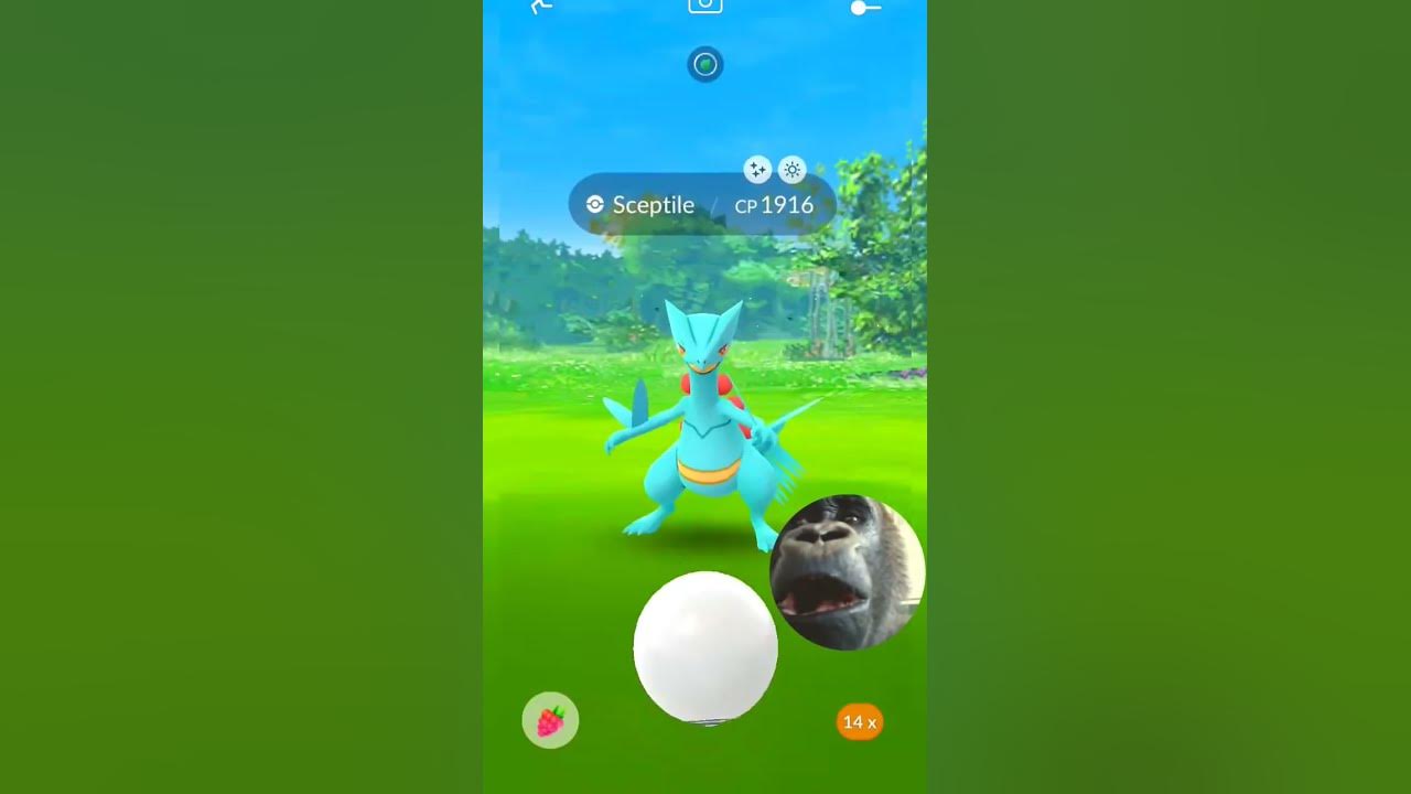 New Mega Pokemon Shiny Sceptile Pokemon Go Youtube