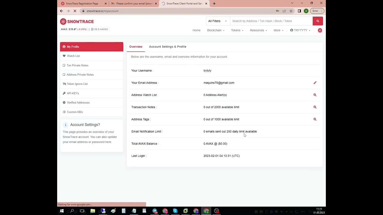 snowtrace.io (Avalanche C-Chain) API Key - Register and Create an API Key - YouTube