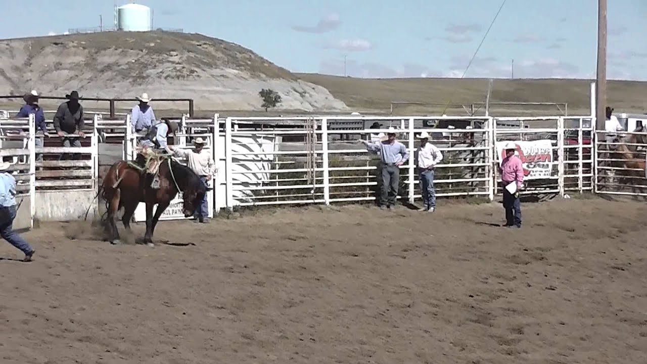 Rhett Fox bronc riding at Buffalo Labor Day Rodeo * 9/1*2013 - YouTube