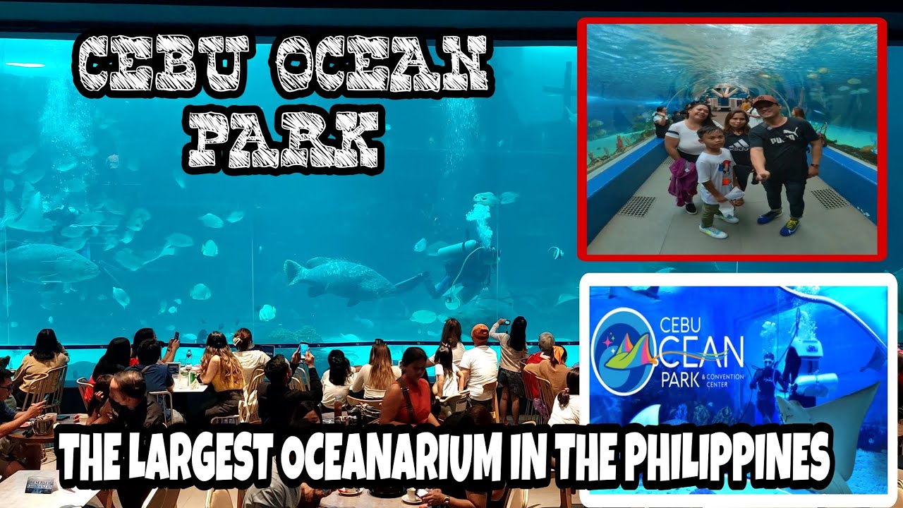Cebu Ocean Park | The Largest Oceanarium in the Philippines #cebutravel ...