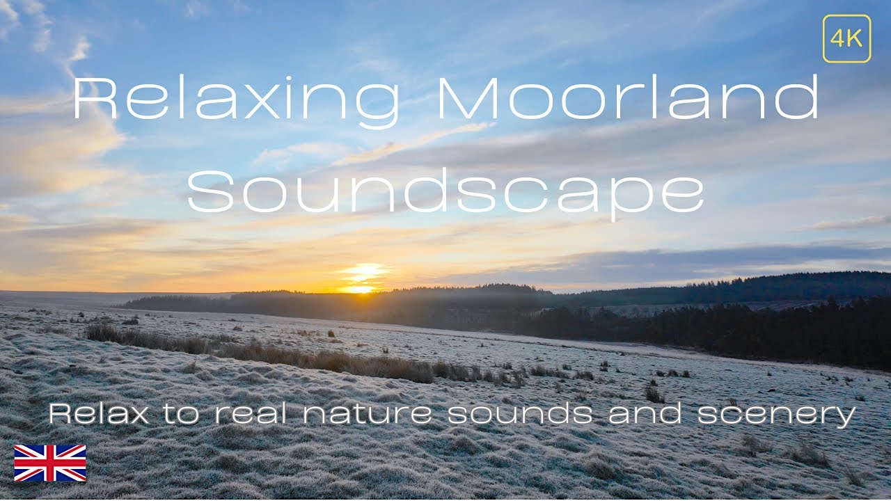 RELAXING MOORLAND SOUNDSCAPE: Relax to real nature sounds and scenery ...
