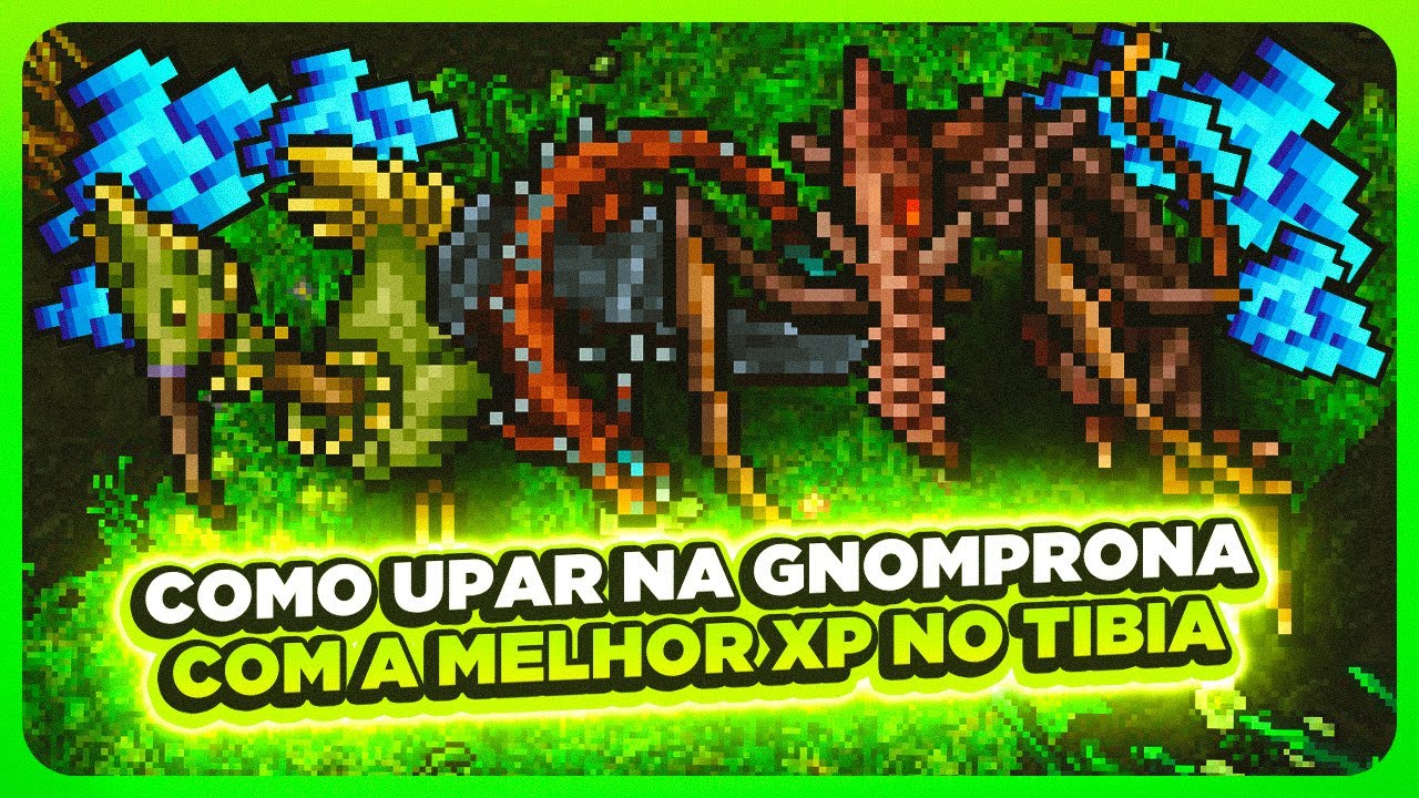 Como upar na Gnomprona (Crystal Enigma) com a melhor XP no Tibia l Tibia Tips - YouTube