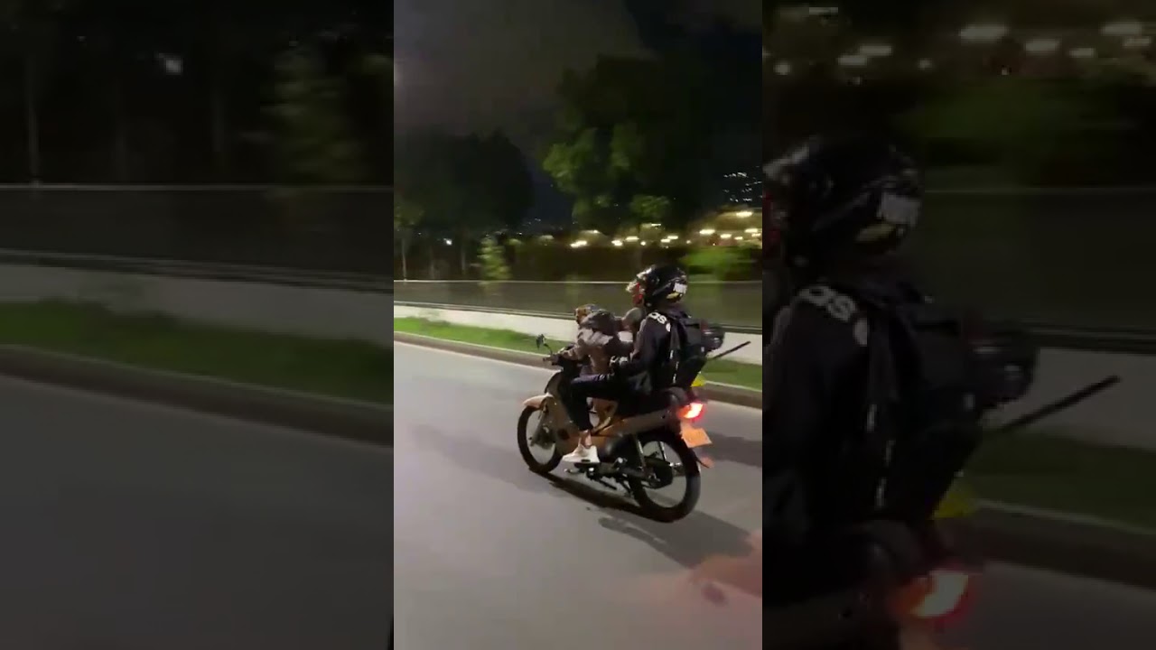 video de un perro manejando moto en Envigado | Perro maneja moto ...