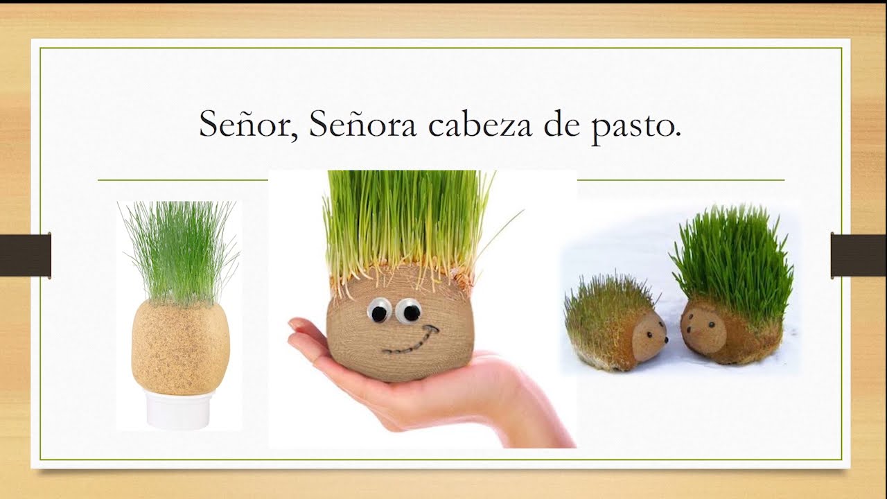 Señor cabeza de pasto - YouTube