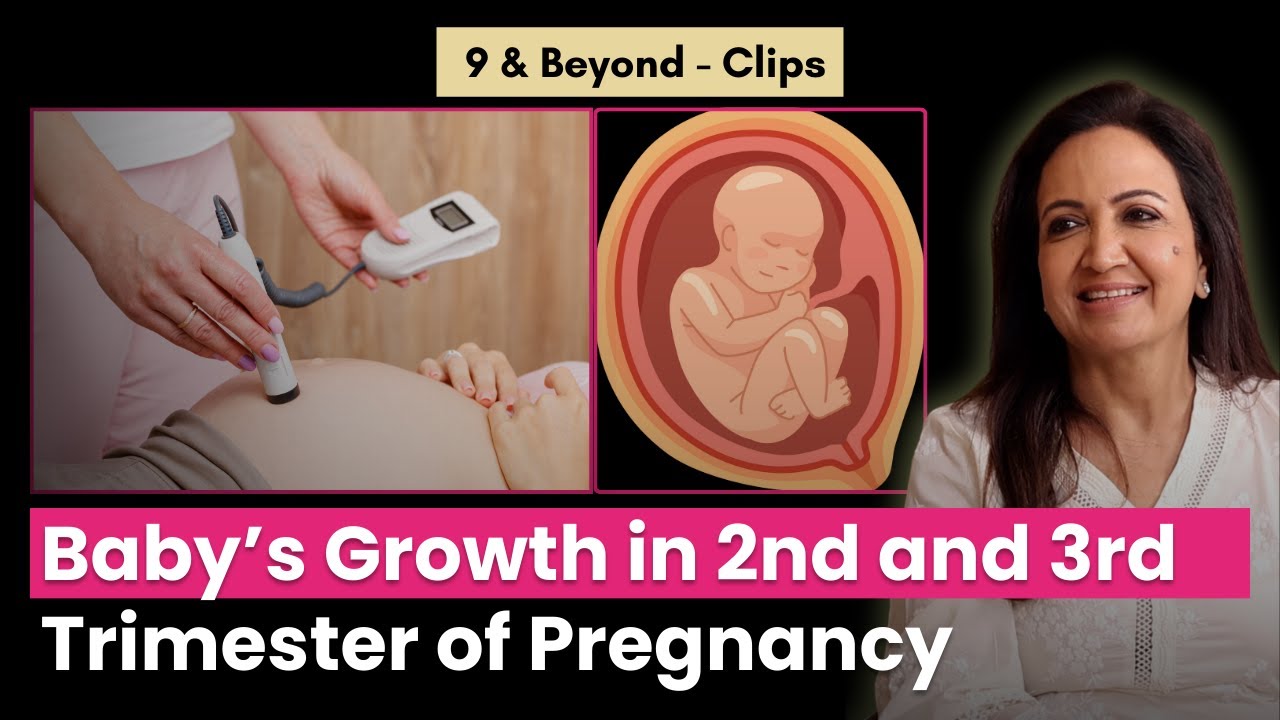 Baby's growth in 2nd and 3rd trimester - 9 And Beyond Clips - YouTube