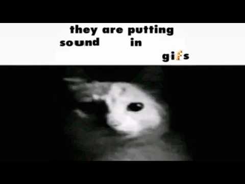 GIFs but with sound 2