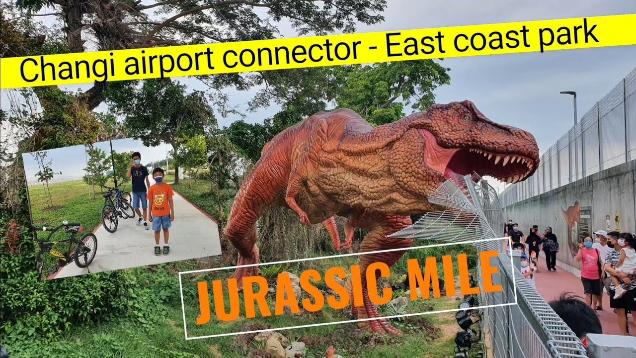 Changi Jurassic Mile | Changi Airport Connector | East Coast Park ...