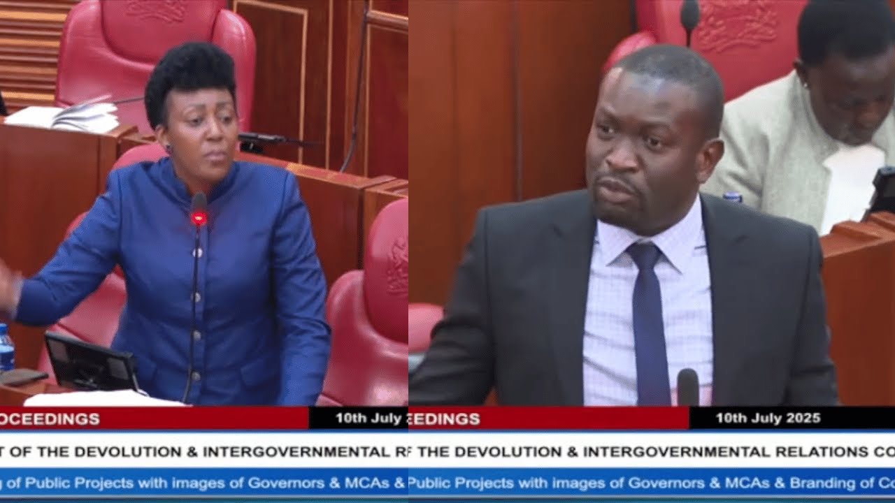 DRAMA AS SENATORS SIFUNA & WAMBUA CONFRONT UDA NOMINATED SENATOR ...