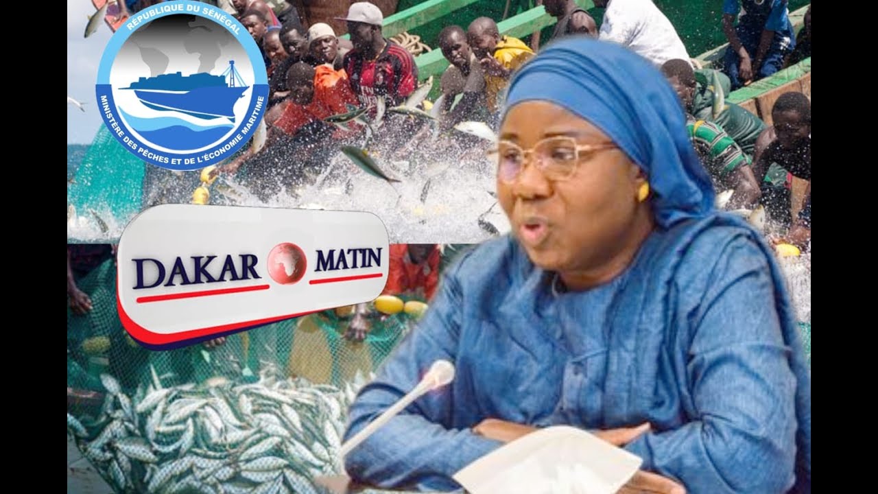 🔴DIRECT : CONFERENCE DE PRESSE DU DR. FATOU DIOUF MINISTRE DE LA PECHE ...