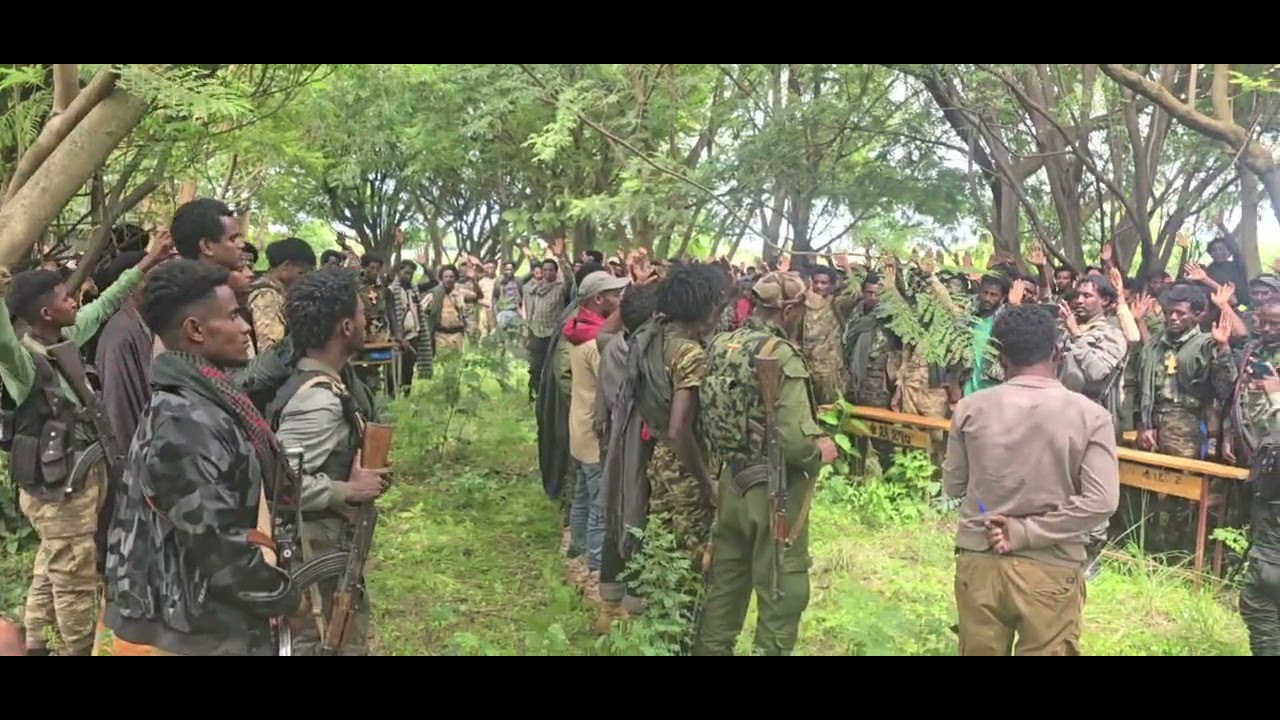 Gojam Fano Viva - YouTube