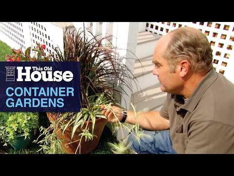 Container Gardens | This Old House