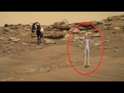 Mars Latest Footage Captured By Mars Perseverance Rover | Mars 4k Video ...