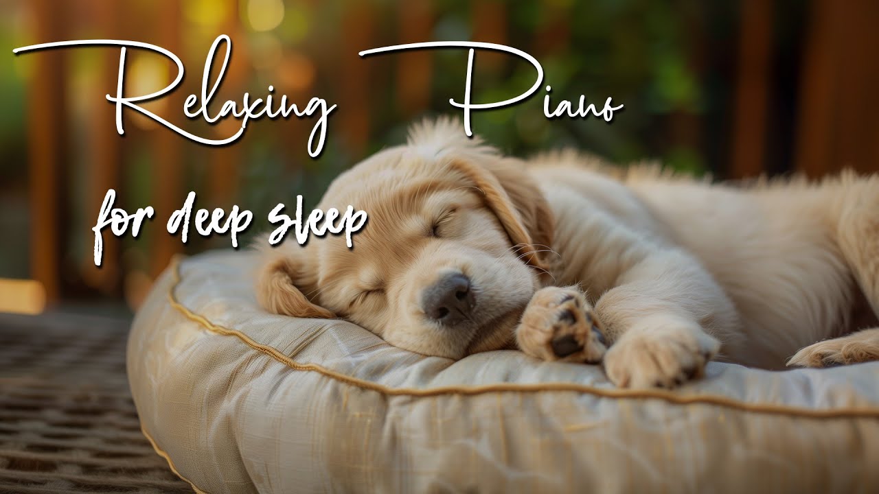 Sleep in Peace with calming Piano for relaxation, studying or sleeping ...