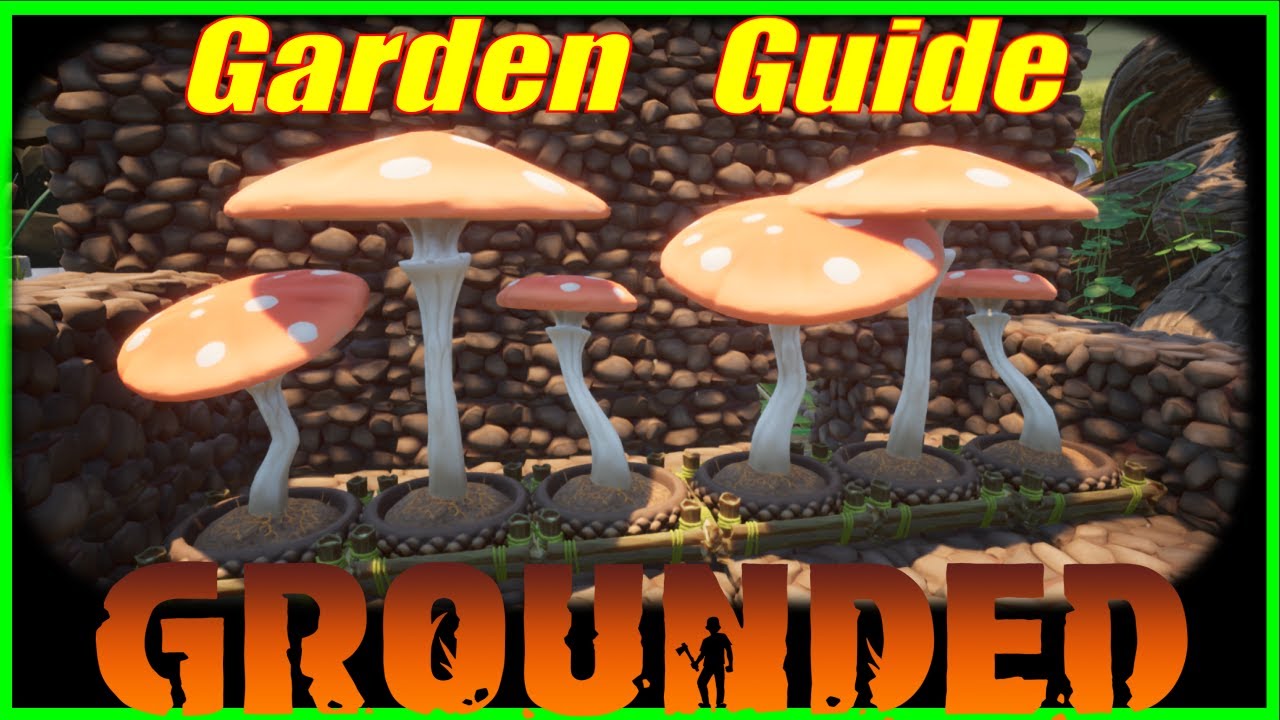 Grounded: Garden Patch All The Info You Need To Know - YouTube