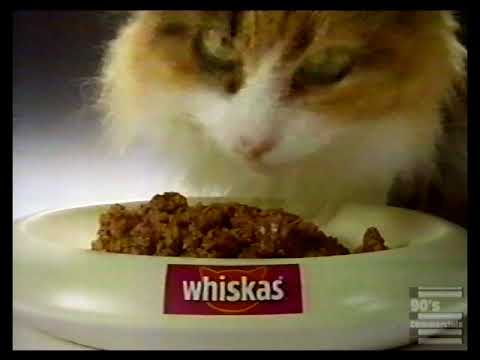 Whiskas Parrot Temptations commercial 1993 - YouTube