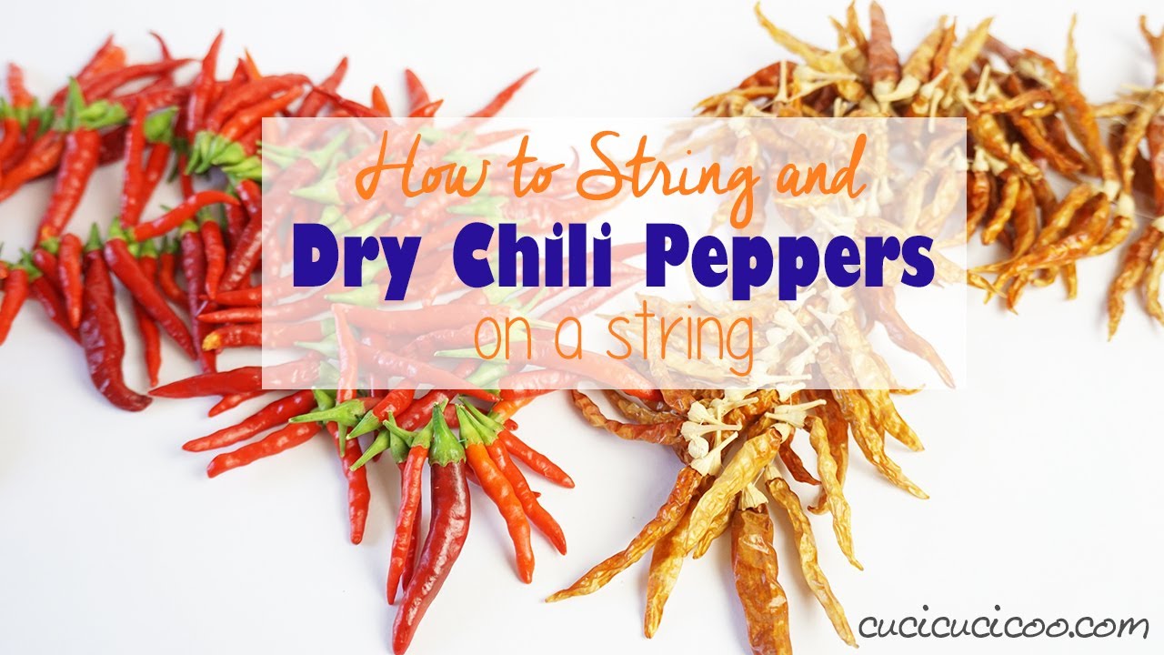How to dry peppers on a string to make spicy chili oil or red pepper ...