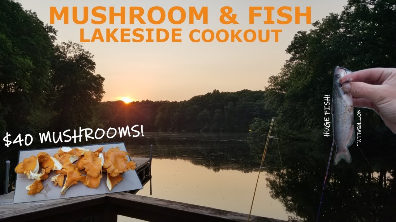 Overnight Fish & Gourmet Mushroom Lake Cookout | Ramsey, Illinois ...