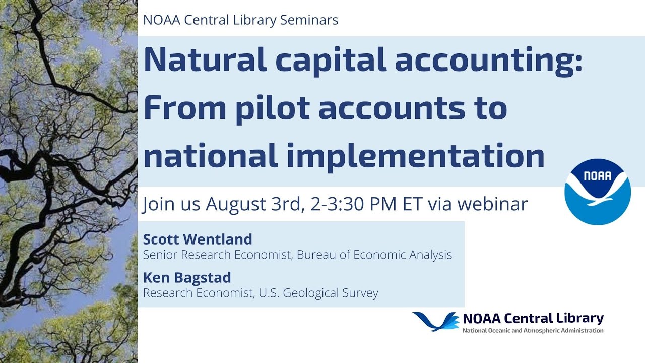 Natural capital accounting: From pilot accounts to national ...