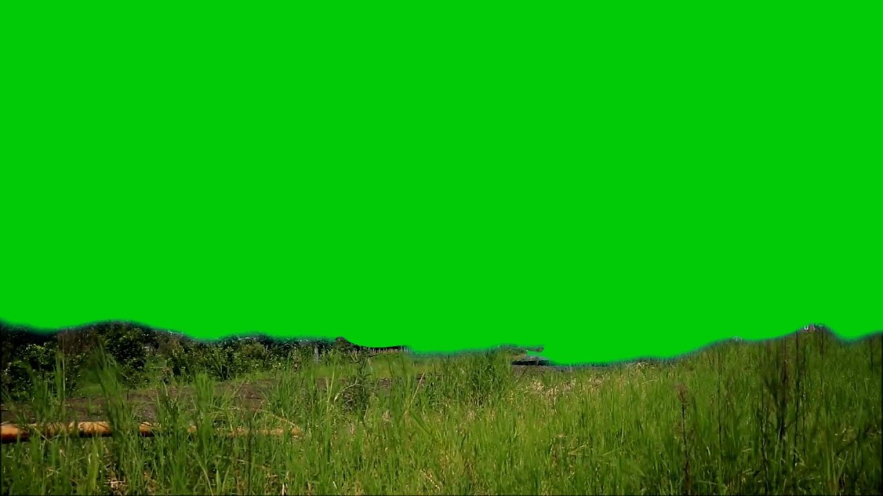 grass blowing green screen - YouTube
