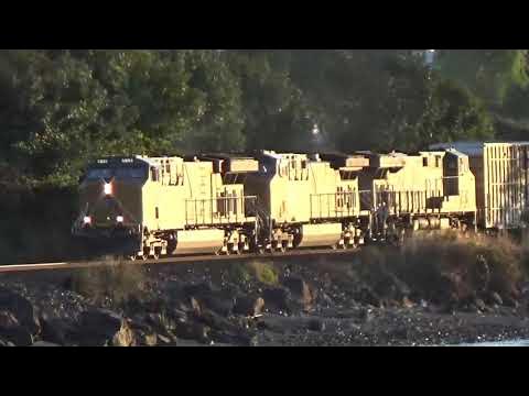 (Northbound) UP Mixed Freight Train through the Sunnyside Beach Pedestrian Railroad Crossing ...