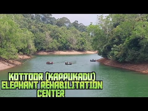 Kottoor (Kappukadu )Elephant Rehabilitation Center /Vkumar eat and ...
