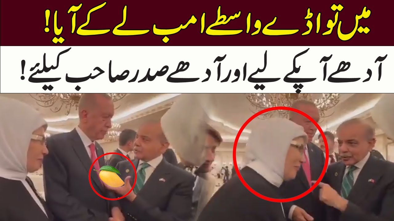 I Brought Mangoes For You ! | Shahbaz Sharif & Turkish President Tayyip ...