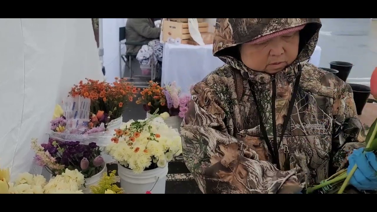 muag paj nyob rau Oregon - YouTube