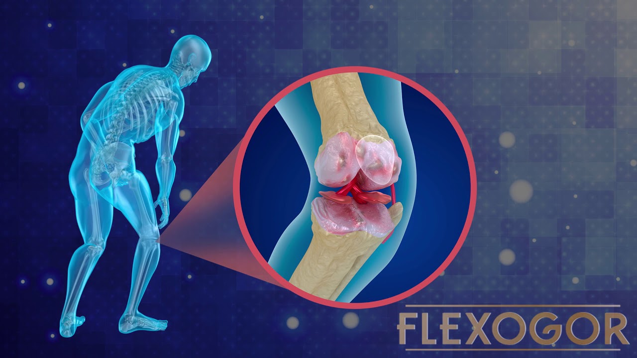 Flexogor - A Formula For Joint Recovery - YouTube
