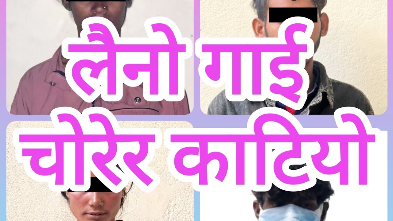 गाई काटेपछि थामिनसक्नुको आक्रोश ।। धर्मगुरुहरू सडकमा ।। Kankai ...